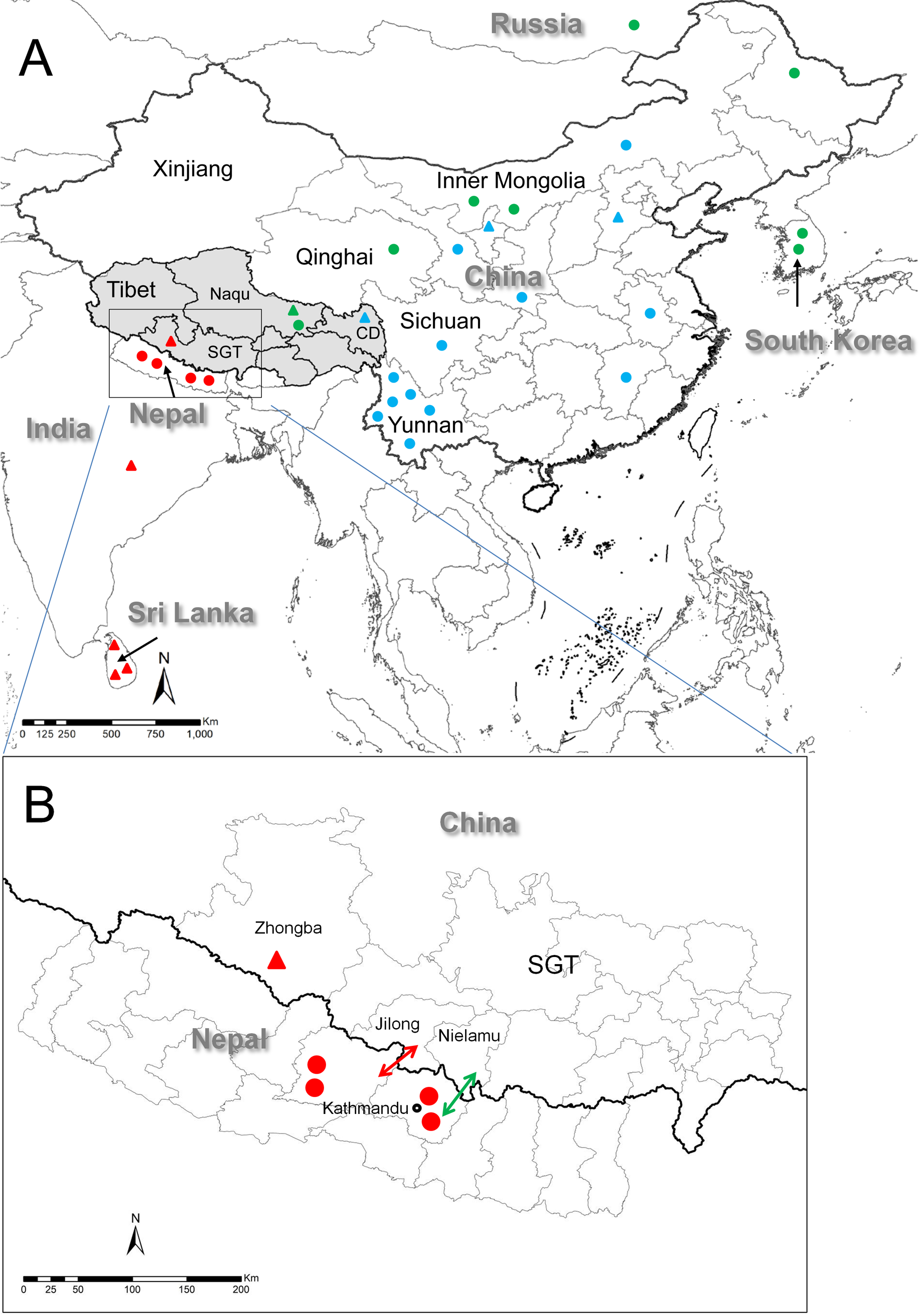 The reemergence of human rabies and emergence of an Indian subcontinent ...